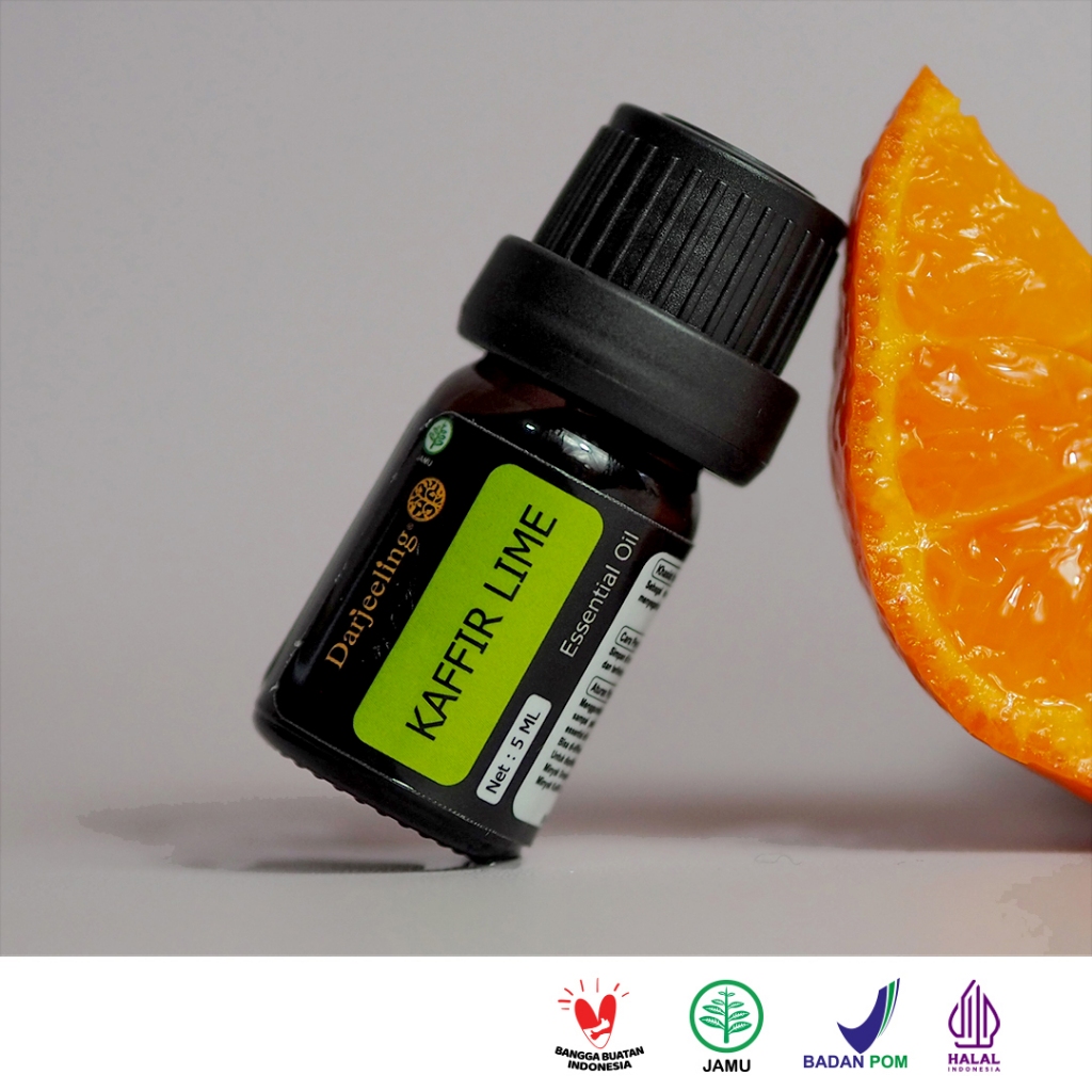 Jual Darjeeling Kaffir Lime Essential Oil / Minyak Jeruk Purut ... Jual Darjeeling Kaffir Lime Essential Oil / Minyak Jeruk Purut ...