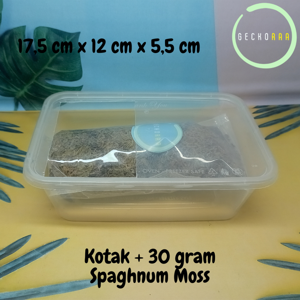 Jual Paket Kotak dengan Lubang dan Spaghnum Moss Laying Box Tempat ...