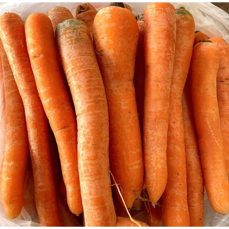 Jual wortel / wortel lokal / wortel biasa | Shopee Indonesia