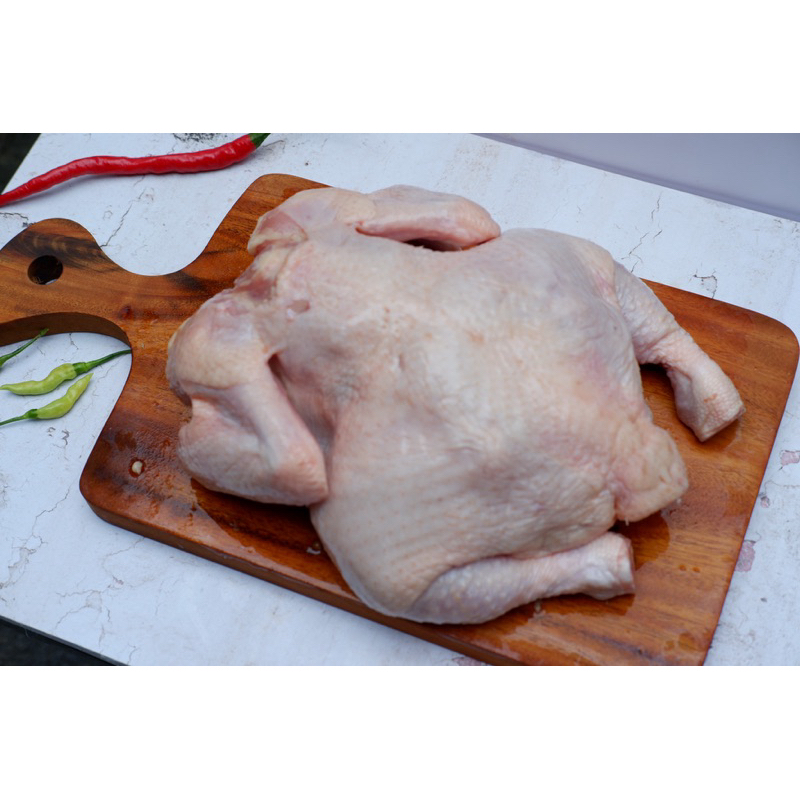 Jual Harga Ayam Potong 1 Kg Terlengkap & Harga Terbaru Juni 2026 ...