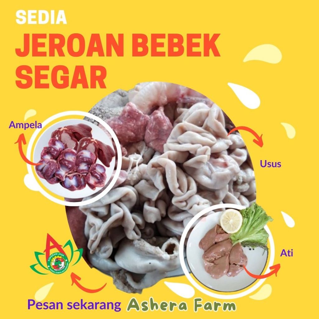 Jual JEROAN BEBEK SEGAR (KG) | Shopee Indonesia