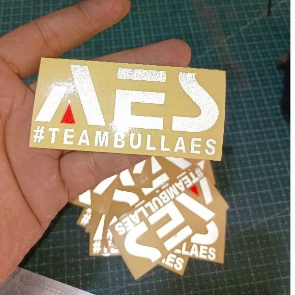 Jual sticker AES Teambullaes | Shopee Indonesia