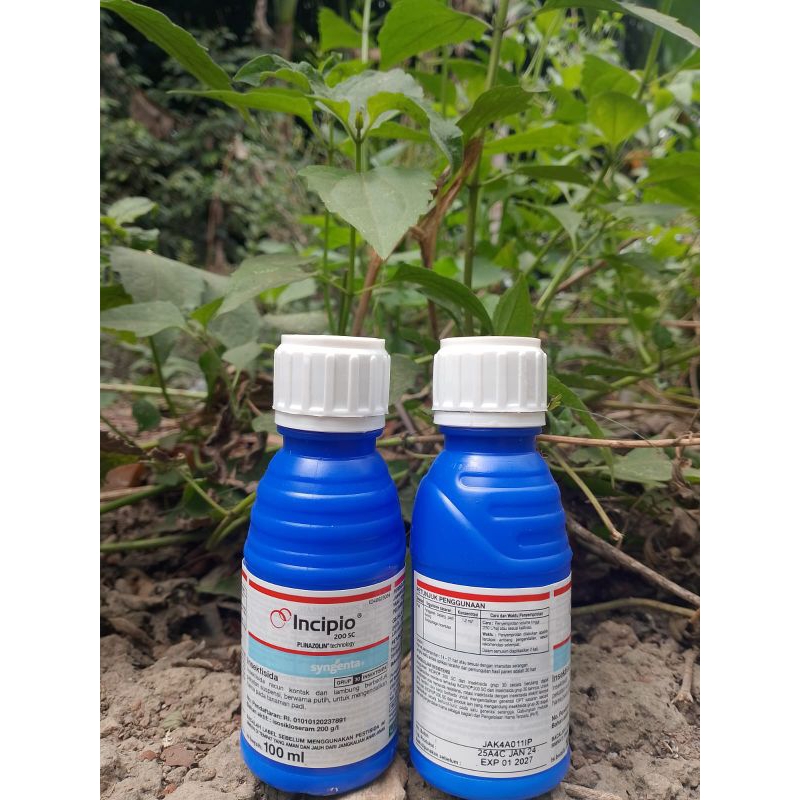 Jual Insektisida Incipio 200 sc 100 ml | Shopee Indonesia
