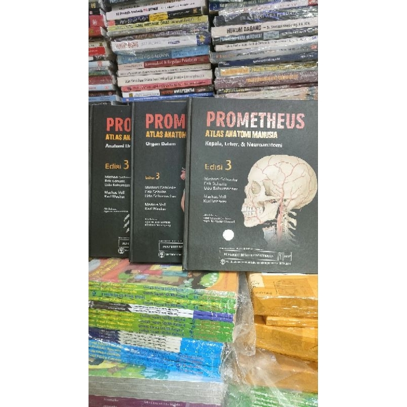 Jual original atlas anatomi manusia Prometheus | Shopee Indonesia