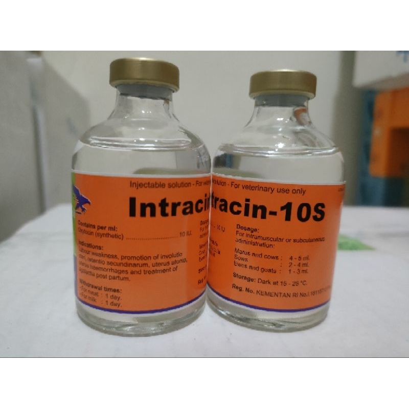 Jual Intracin-10s 50 ml | hormon perangsang Kontraksi Uterus dan kelenjar susu hewan | Shopee ...