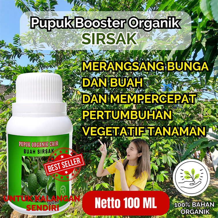 Jual Pupuk Booster Buah Sirsak 100 ml Pelebat Buah dan Anti Rontok Pupuk Sirsak Agar Cepat ...