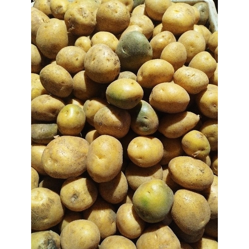Jual Kentang Dieng/Kentang Daerah | Shopee Indonesia