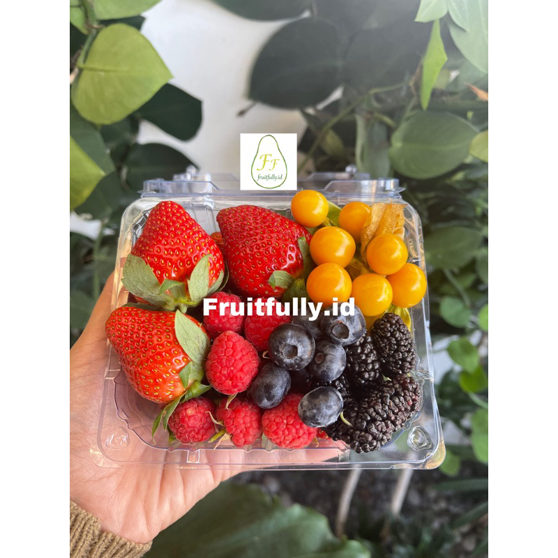 Jual Mix Berries Mixberries Fresh (Strawberry Blueberry GoldenBerry ...