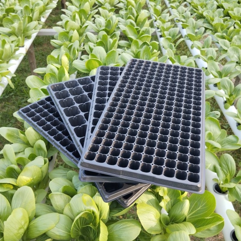 Jual TRAY SEMAI BIBIT TANAMAN POT SEEDLING TRAY UKURAN 50 72 105 200 ...