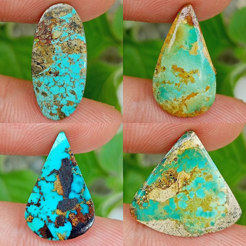 Jual Pirus Persia | Shopee Indonesia