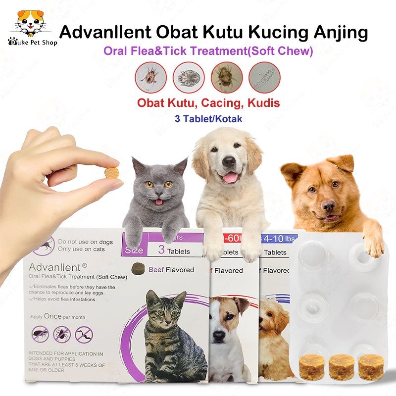 Jual Original Advanllent Obat Kutu Cacing Dan Kudis Kucing Anjing (2 ...