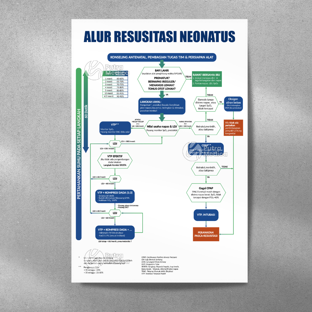 Jual Poster Kesehatan Alur Resusitasi Neonatus A3+ / Gambar Edukasi ...