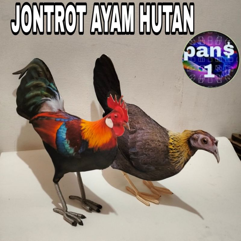 Jual boneka patung jontrot ayam hutan | Shopee Indonesia