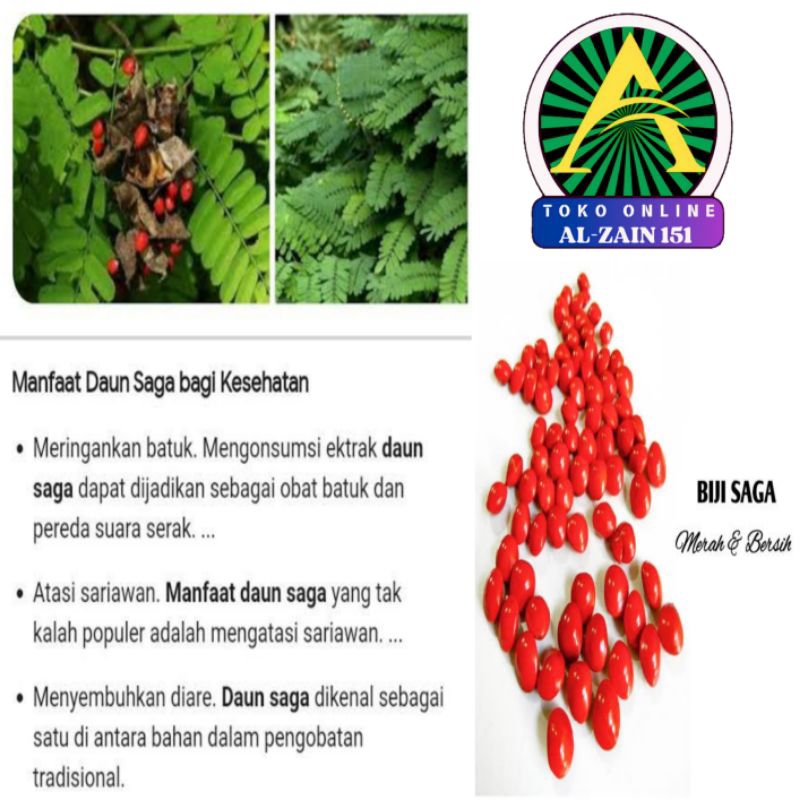 Jual Biji saga/benih pohon saga siap tanam | Shopee Indonesia