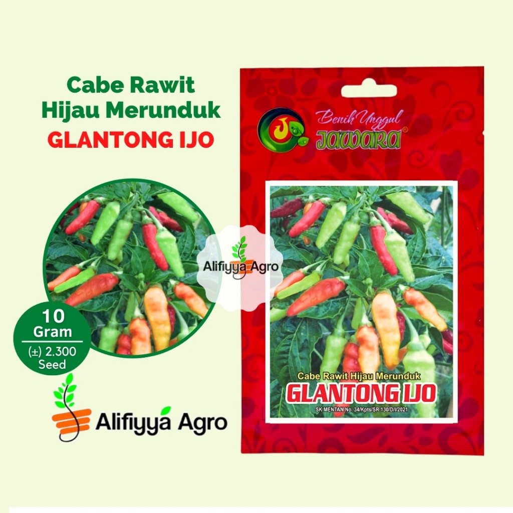 Jual benih cabe hijau merunduk GLANTONG IJO JAWARA | Shopee Indonesia