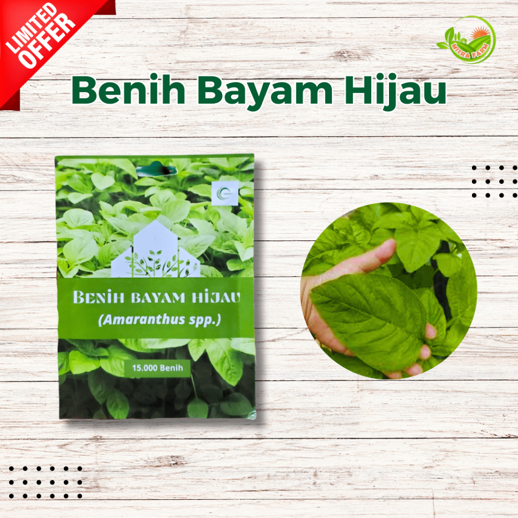Jual Benih Bayam Hijau/Benih Bayam Murahj/Benih Bayam Isi Banyak ...
