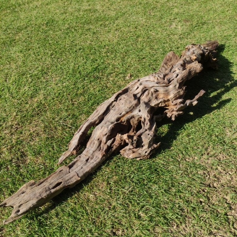 Jual Kayu Rentek Aquascape Sangat Berkarakter | Shopee Indonesia