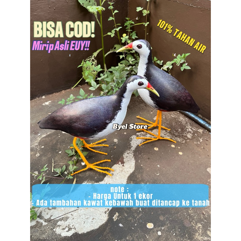 Jual Patung Burung Truwok Ruak Ruak Kareo Padi - Ruakruak Sawah ...