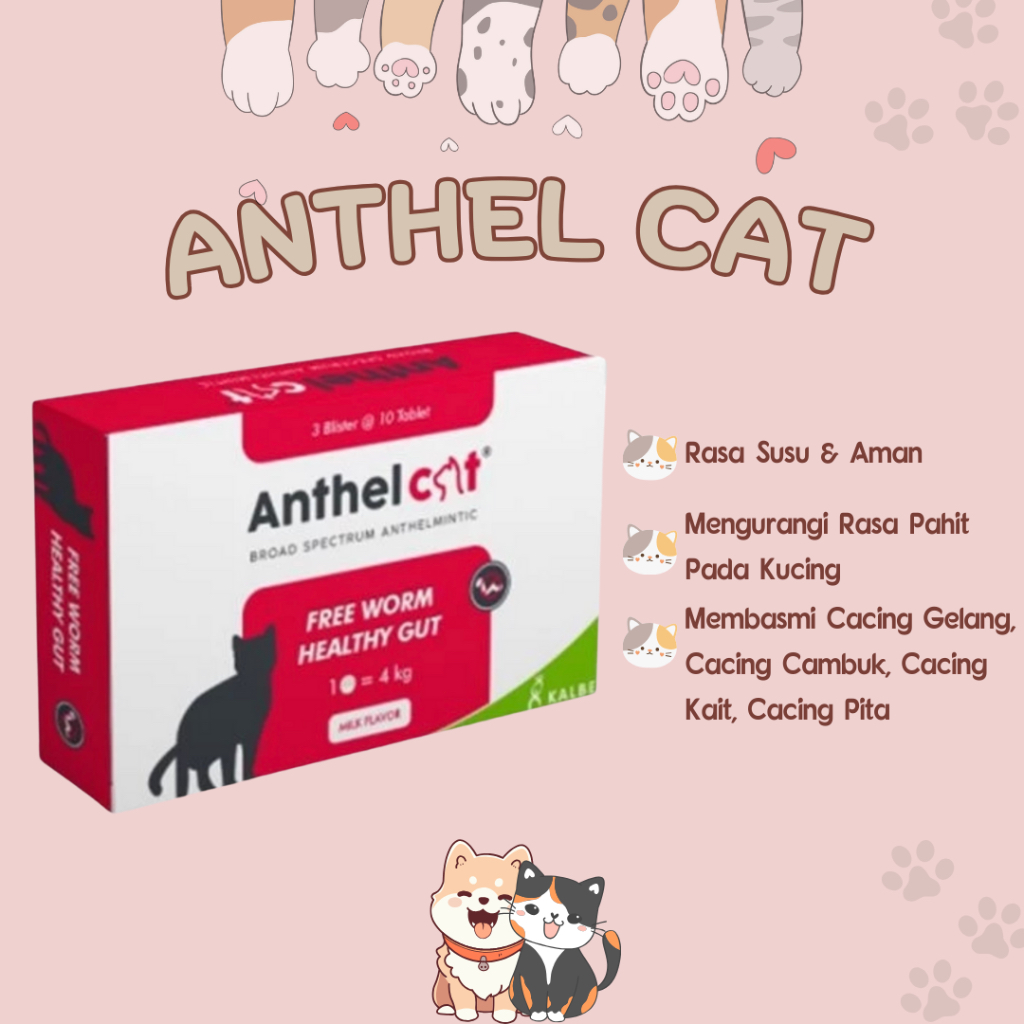 Jual Obat Cacing Kucing 1 Tablet - Obat Cacing Anthel Cat Kucing by ...