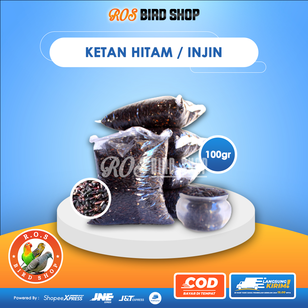 Jual 100gr Ketan Hitam / Injin Pakan Burung PERKUTUT, MERPATI BERSIH ...