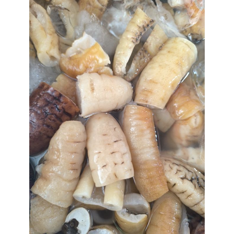 Jual TERIPANG / SEA CUCUMBER / HAISOM 100 BASAH JENIS GOSOK SIAP MASAKi ...