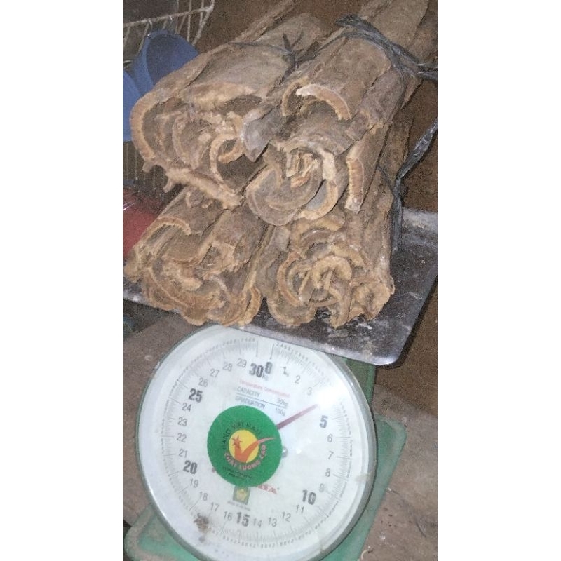Jual kulit kayu raru asli harga untuk 4 kilo | Shopee Indonesia