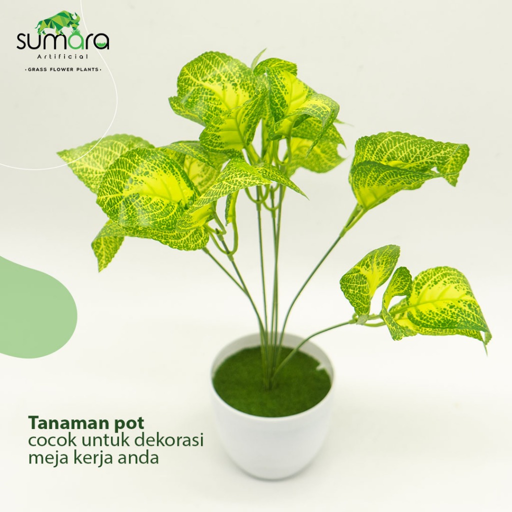 Jual Tanaman Sintetis / Tanaman Palsu Aglaonema Tangkai | Shopee Indonesia