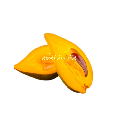 Jual Delicious - Buah Alkesah Sawo Mentega Buah Alkesah Manis Fresh ...