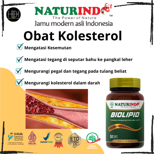 Jual Obat Kolesterol Penghancur Pelarut Batu Empedu Sindrom Metabolik ...