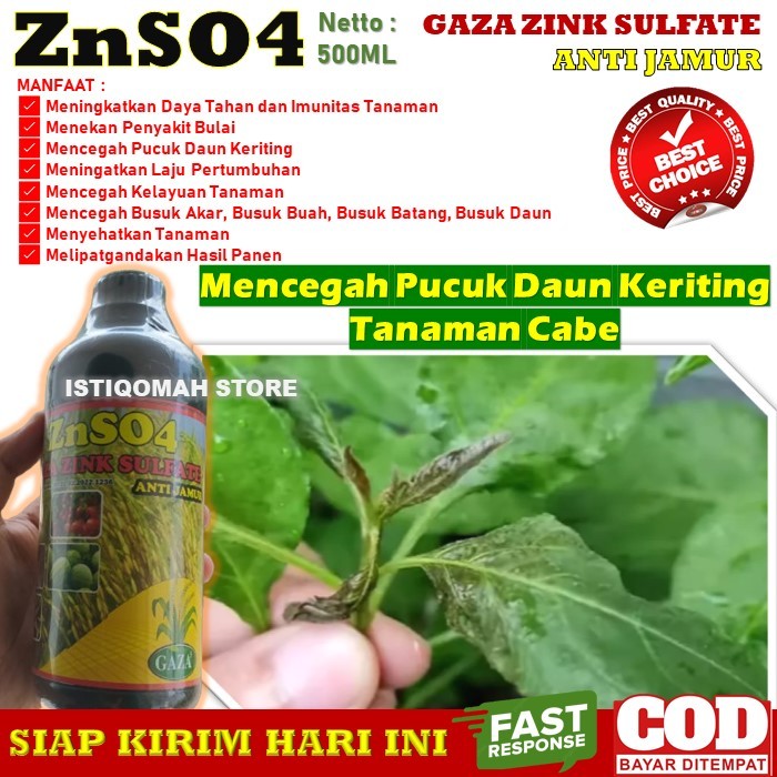 Jual 100% AMPUH Obat Pucuk Daun Cabe Keriting Paling Manjur ZNSO4 GAZA ...