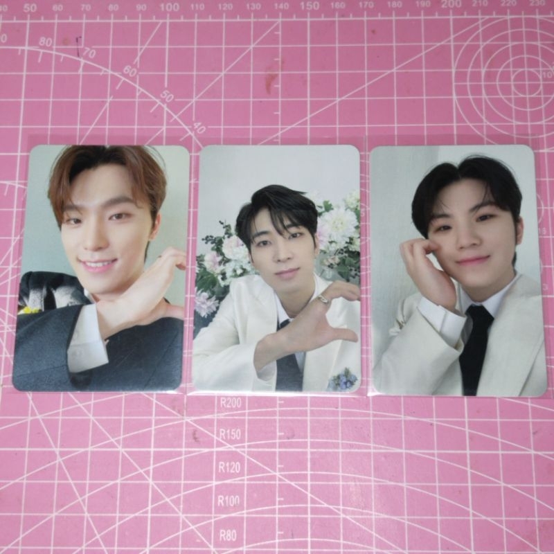 Jual PHOTOCARD OFFICIAL WONWOO DINO WOOZI FML CARVER SET | Shopee Indonesia