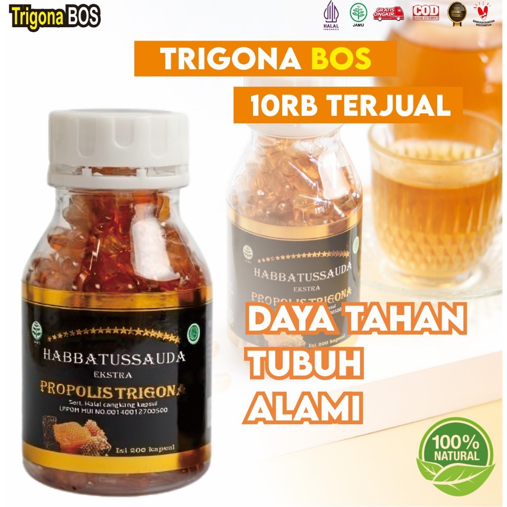 Jual Habbatussauda Extra Propolis Trigona BOS 200 Kapsul Suplemen ...
