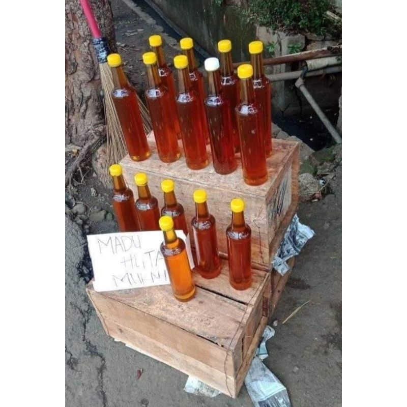 Jual MADU murni tawon Gung (3 saudara) | Shopee Indonesia