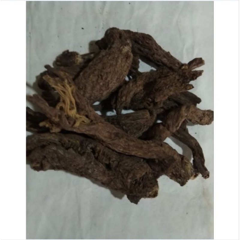 Jual 10 GG 50 GR 100 GRAM LOU LU / LO LU RADIX RHAPONTICI 漏蘆 | Shopee ...