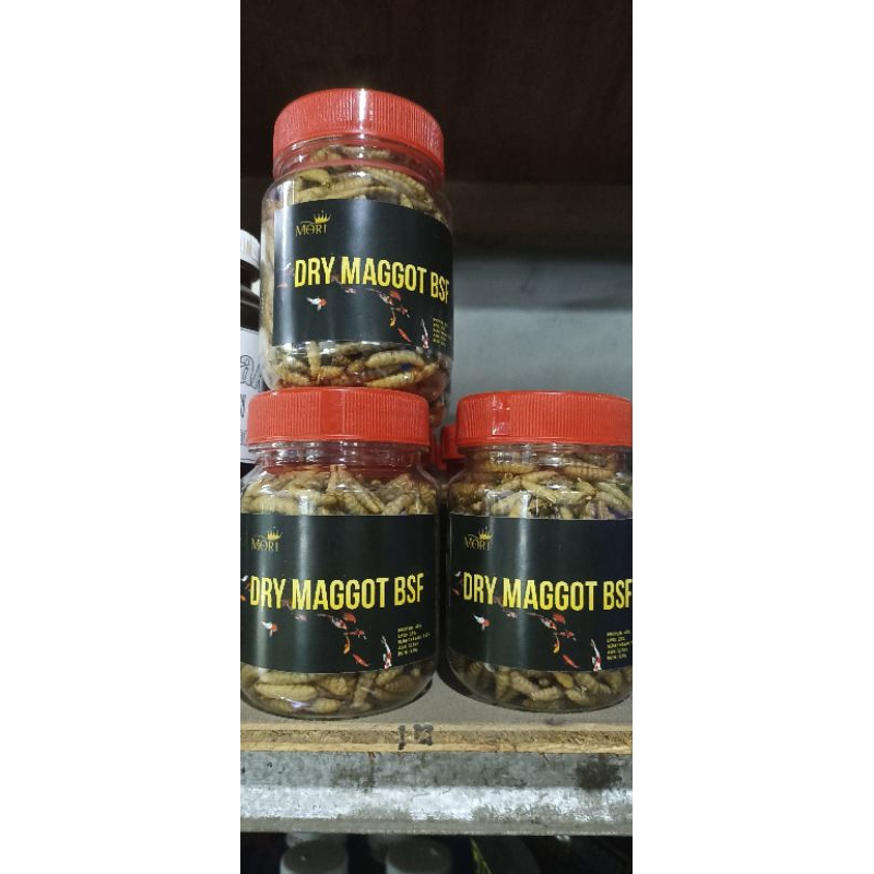 Jual MAGOT KERING | Shopee Indonesia