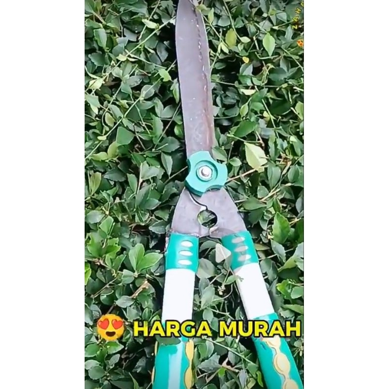 Jual Gunting rumput besi besar tajam | Shopee Indonesia