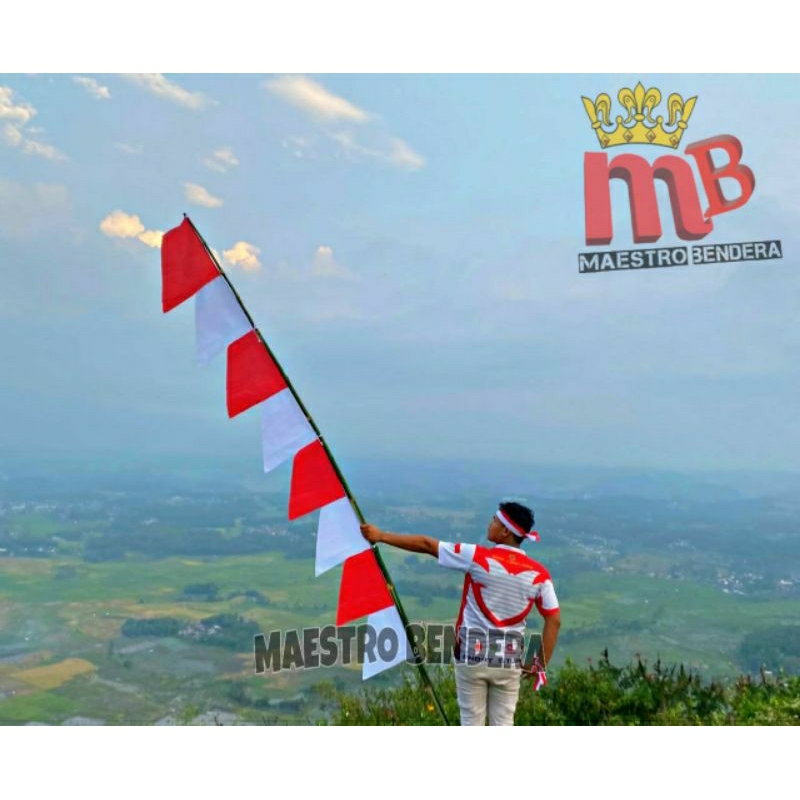 Jual Bendera Umbul-Umbul Merah Putih Polos Paket Isi 10 Pcs | Shopee Indonesia