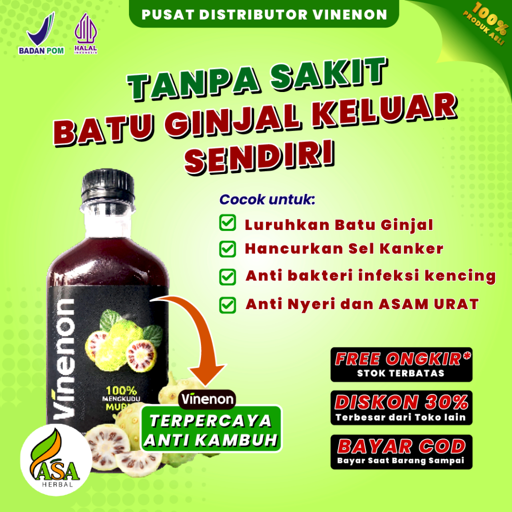 Jual OBAT HERBAL BATU GINJAL Vinenon Original Cuka Mengkudu Murni ...