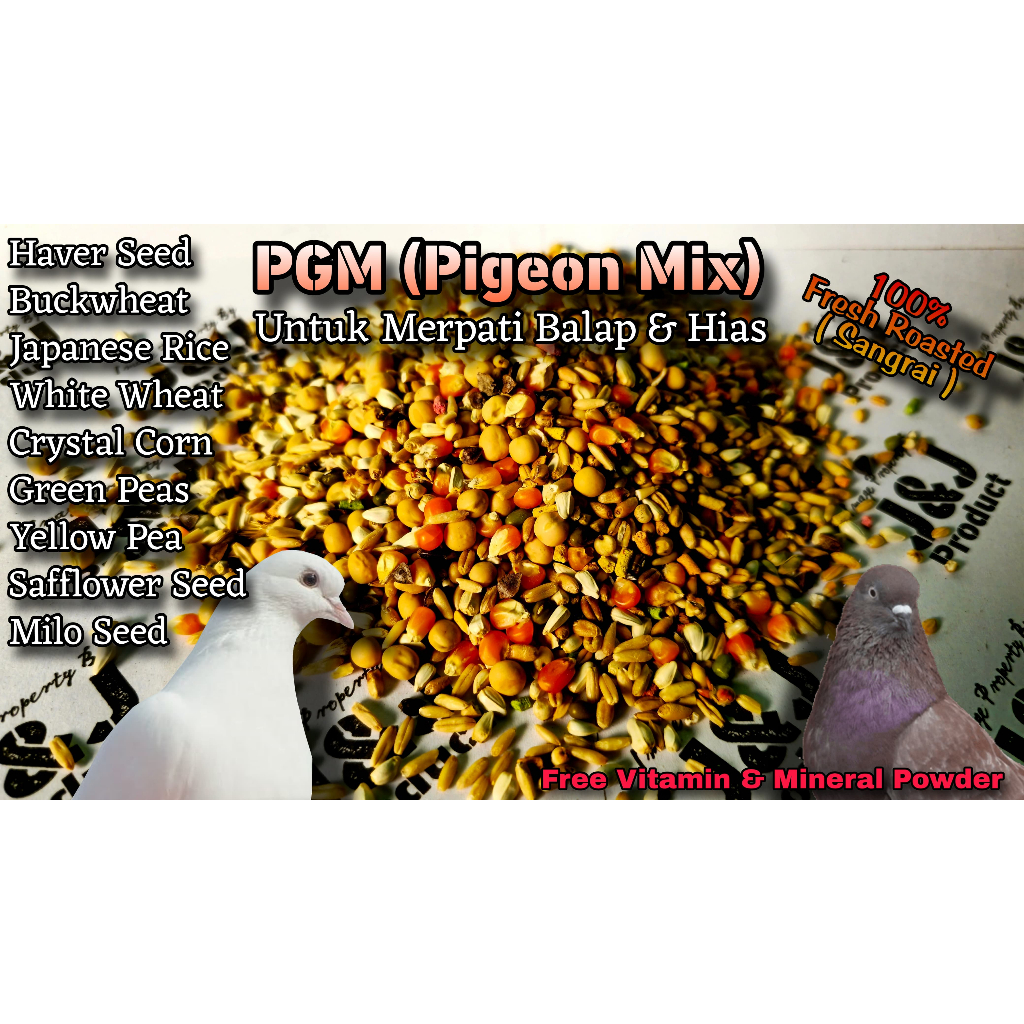 Jual PIGEON MIX 5kg - Pakan burung merpati burung dara merpati pos - JJ ...
