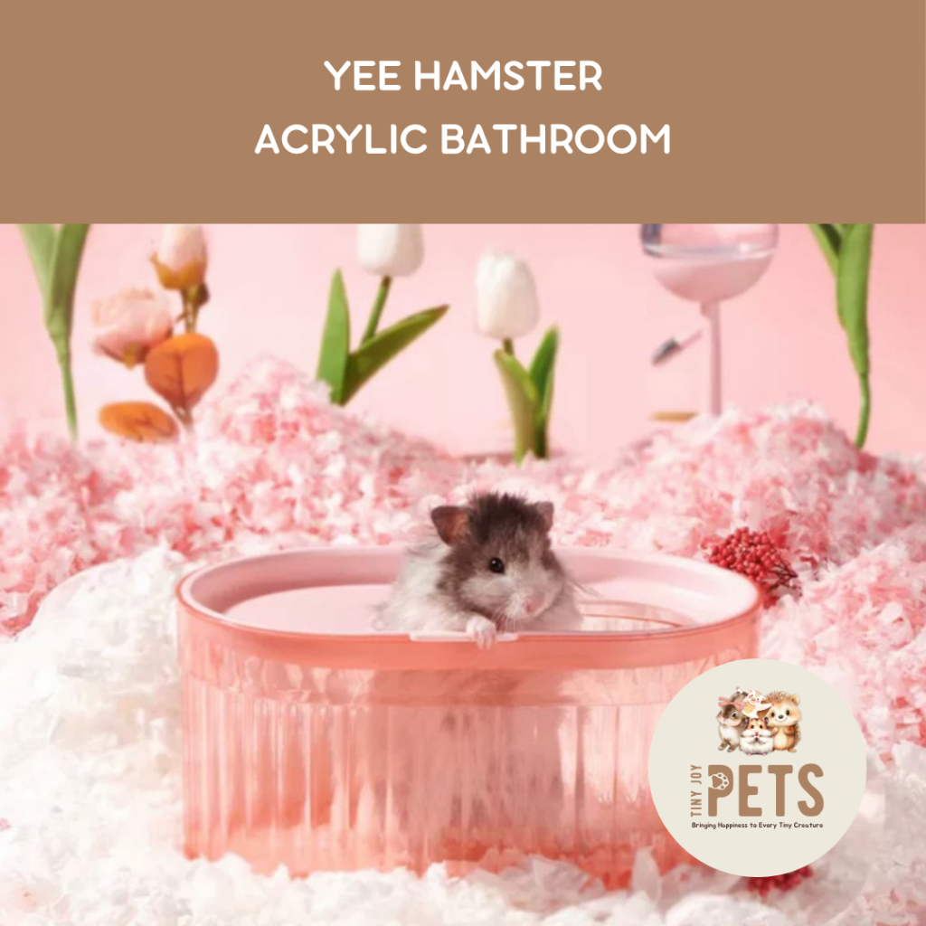 Jual YEE Hamster Acrylic Sand Box IMPORT / Hamster toilet / Hamster ...