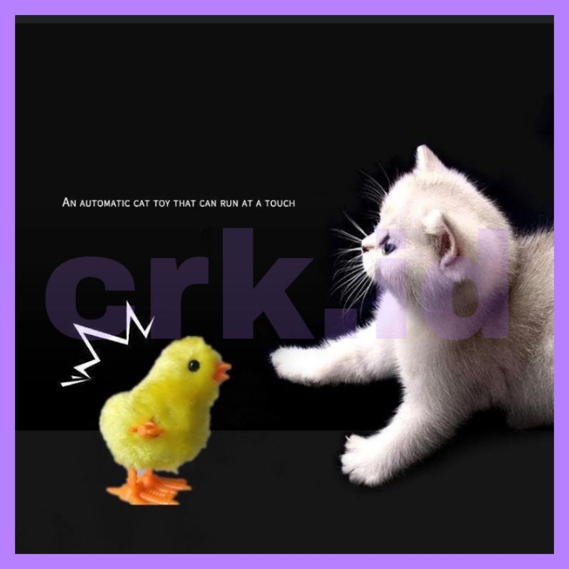 Jual MAINAN JADUL ANAK AYAM ITIK KUNING LUCU GEMAS PERMAINAN AYAM JADUL ...