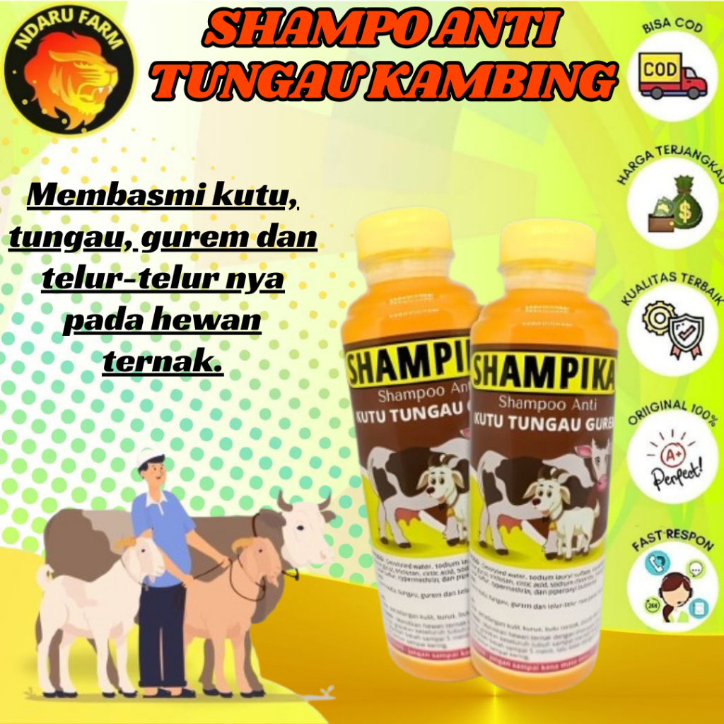 Jual Sampo Sapi Kerbau Kambing Anti Kutu Parasit Tungau SHAMPIKA ...