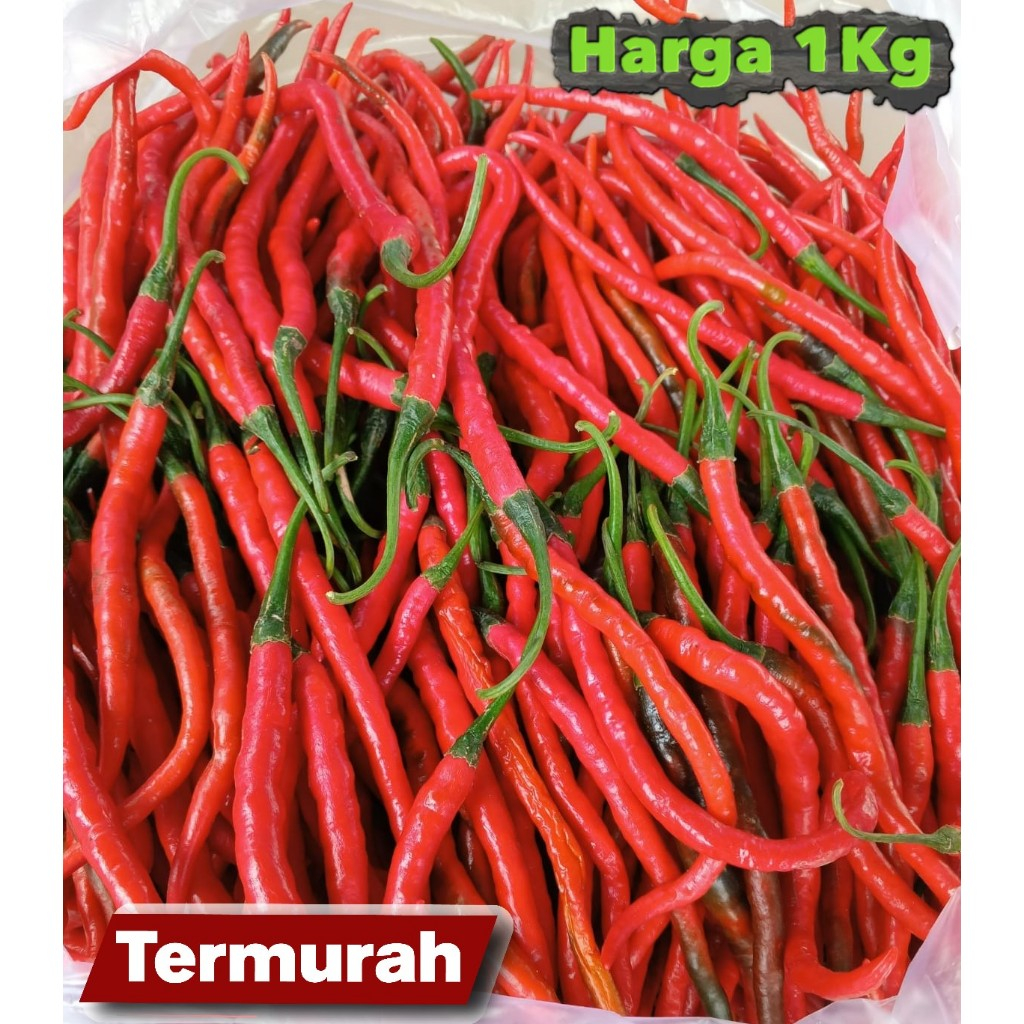 Jual Cabe Merah Keriting 1Kg / Cabe Keriting Merah 1kilo / Cabai ...
