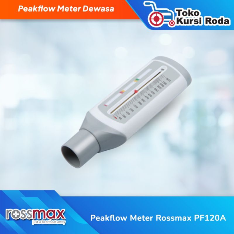 Jual ROSSMAX Peak Flow Meter PF120A DEWASA dan PF120C ANAK | Shopee ...