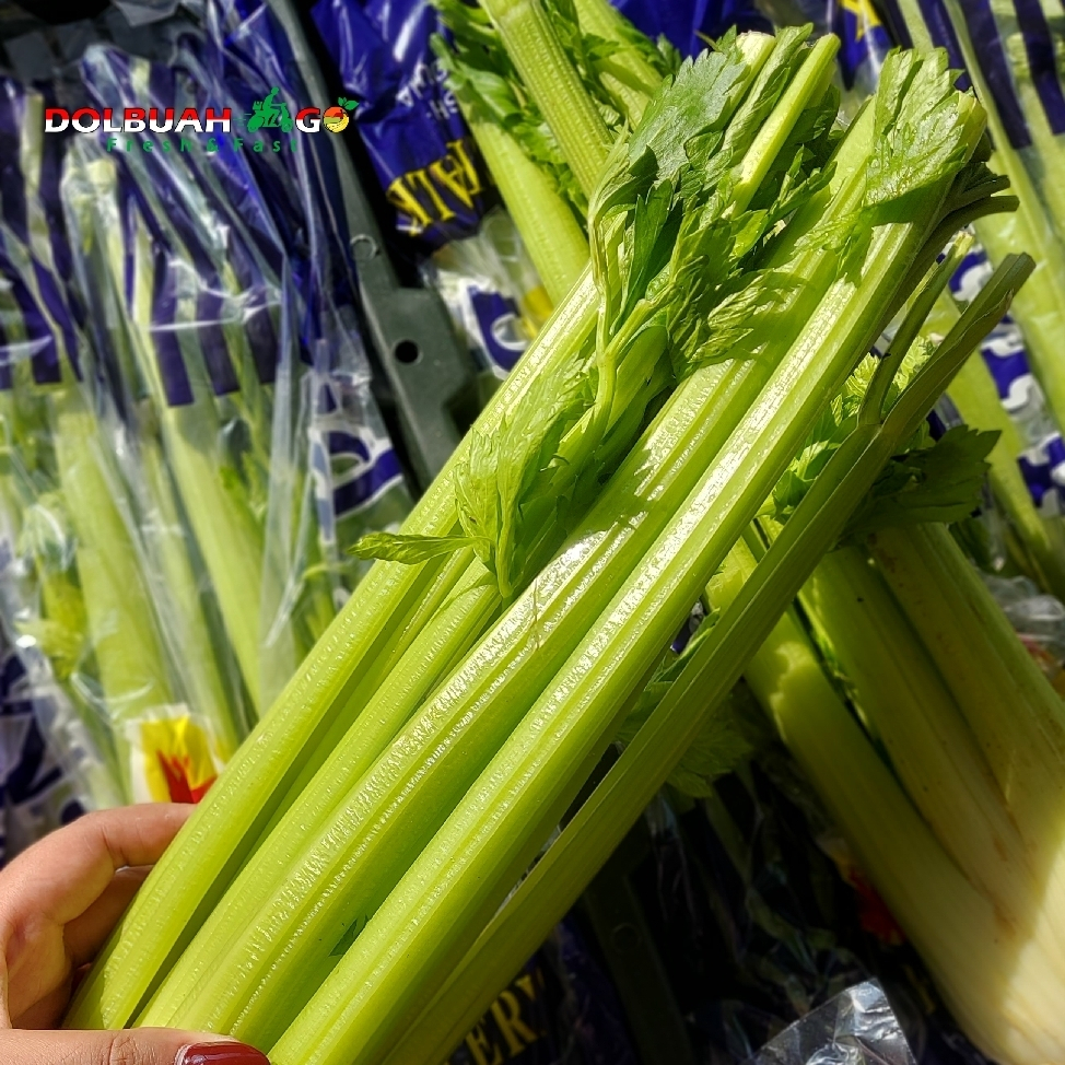 Jual Sayur Seledri Batang / Cellery Stick Import Segar - Dolbuah ...