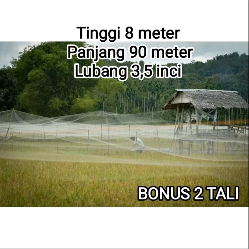 Jual Jaring padi , jaring burung tinggi 8 meter panjang 90 meter lubang ...