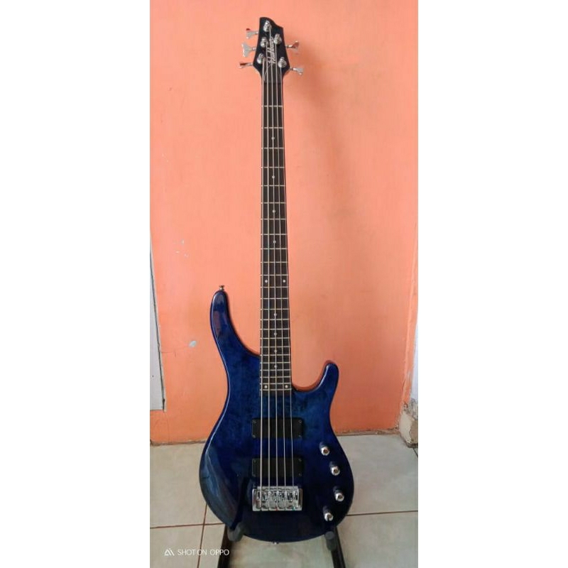 Jual Bass Senar 5 Washburn | Shopee Indonesia