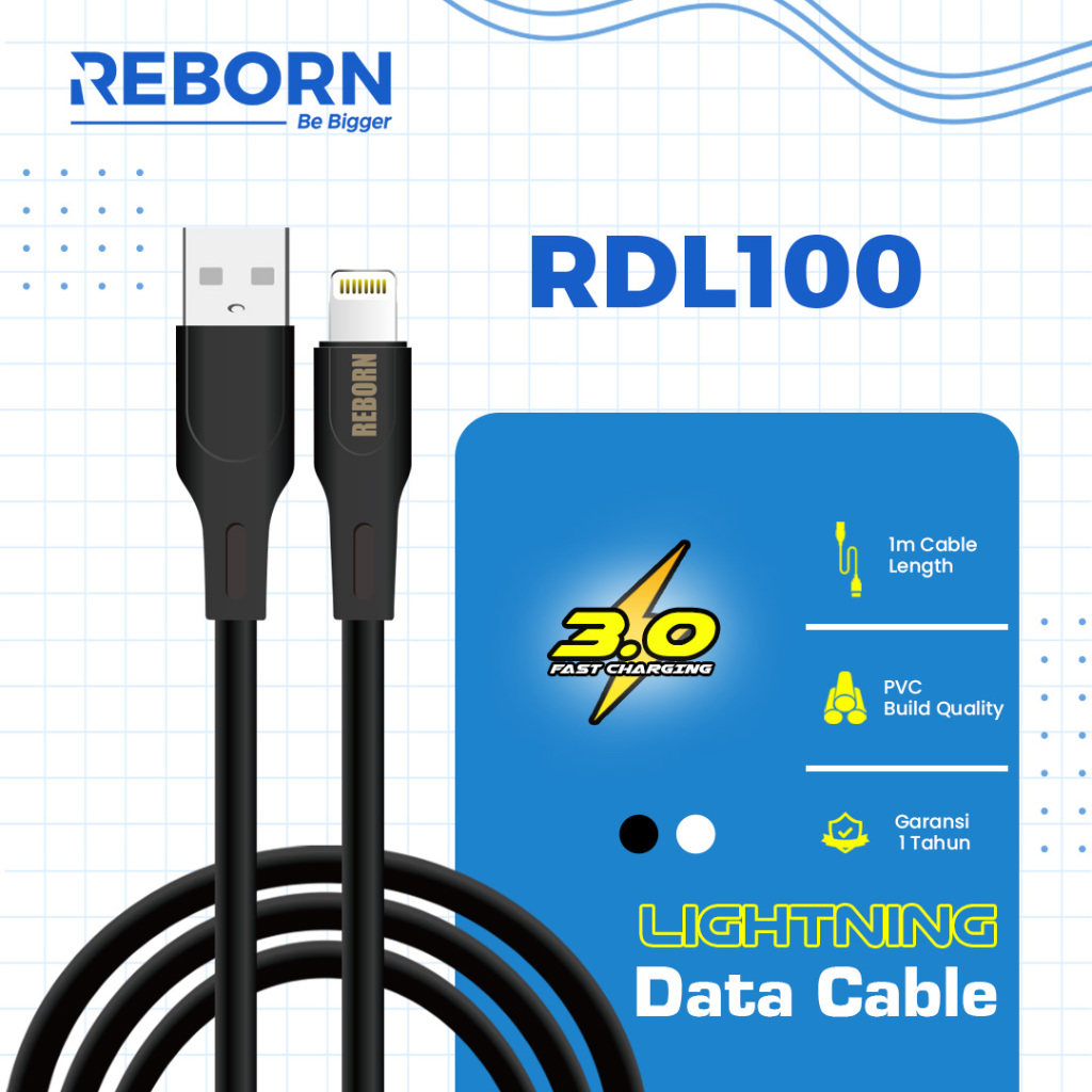 Jual Kabel Data Iphone Reborn RDL100 USB Cable Data Lightning Fast ...