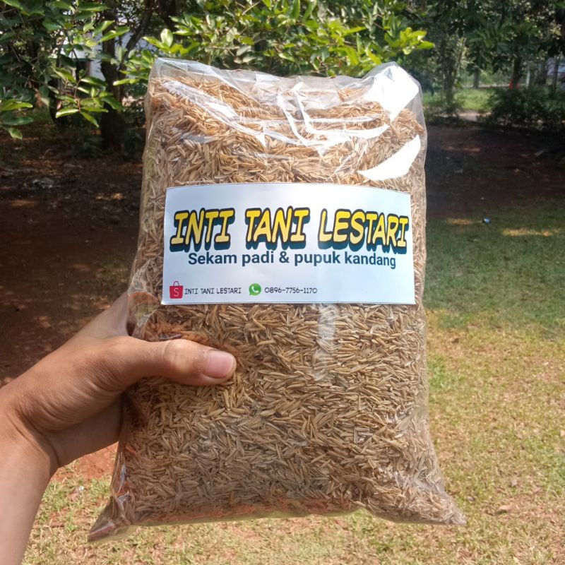 Jual SEKAM PADI MENTAH - SEKAM PADI MURNI - SEKAM KULIT PADI MURNI ...
