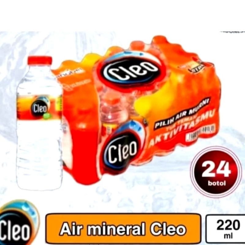 Jual Air Mineral Cleo 220ml 1 Krat / Cleo Botol Mini / Cleo Mini 220ml ...